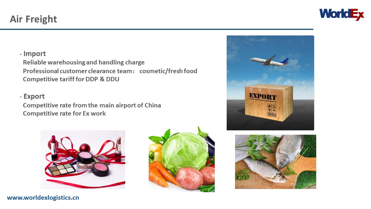Worldex International Logistics Qingdao Co.,Ltd. - olofamily