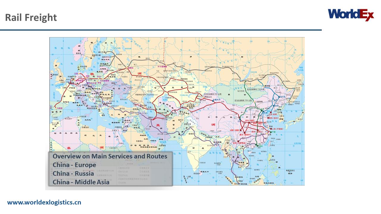Worldex International Logistics Qingdao Co.,Ltd. - olofamily