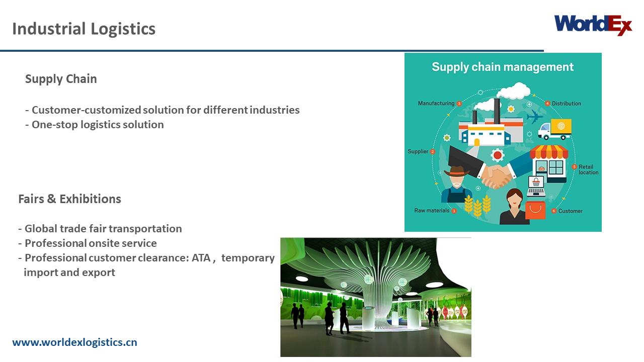 Worldex International Logistics Qingdao Co.,Ltd. - olofamily