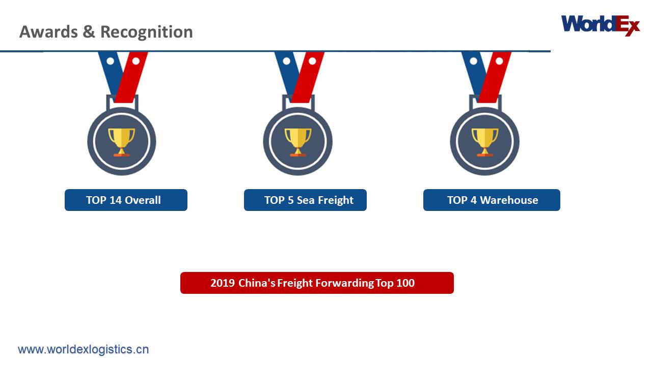 Worldex International Logistics Qingdao Co.,Ltd. - olofamily