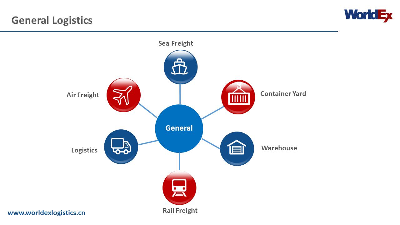Worldex International Logistics Qingdao Co.,Ltd. - olofamily