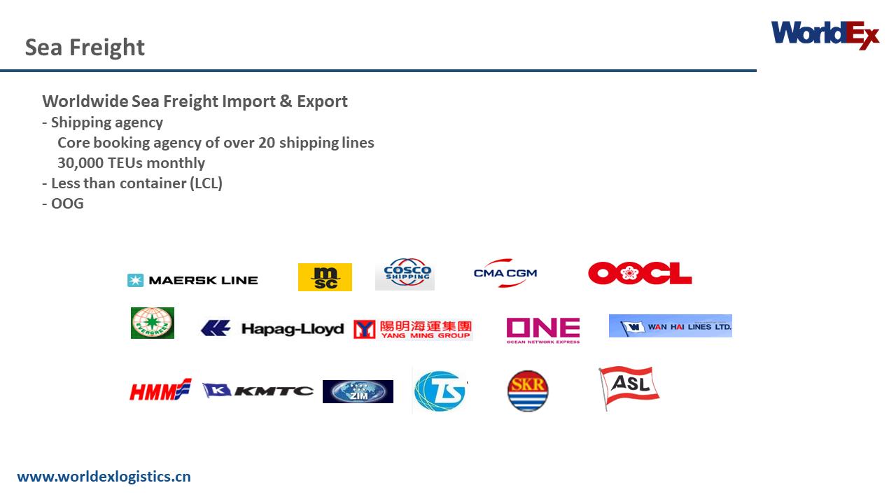 Worldex International Logistics Qingdao Co.,Ltd. - olofamily