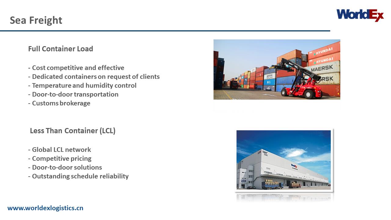 Worldex International Logistics Qingdao Co.,Ltd. - olofamily
